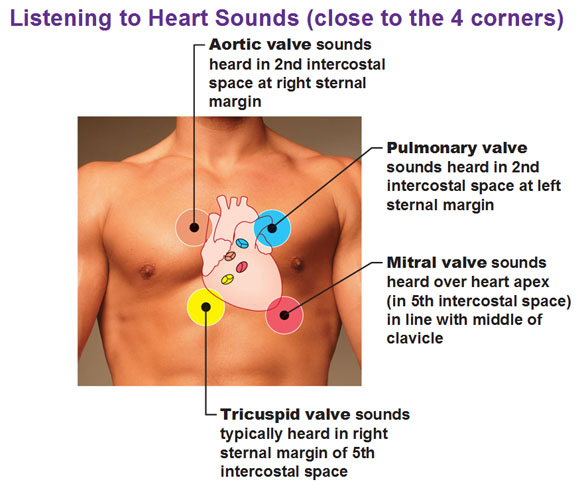 The Four Corners Of The Heart The Four Corners Of The Heart