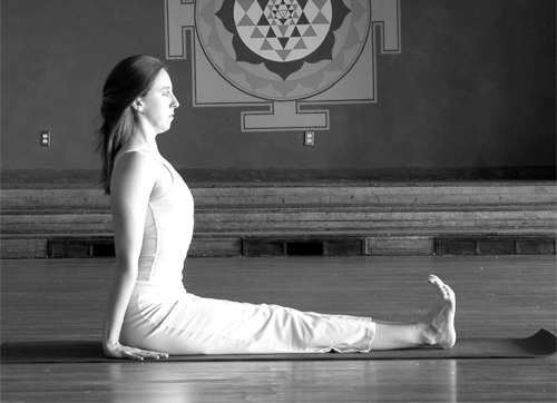 Advanced L-sit, V-sit, Manna and Straddle L-sit Progressions - Antranik.org