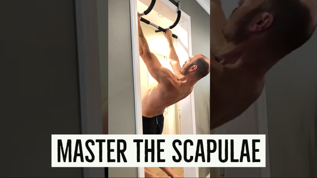 Level Up Your Understanding of Shoulder Mechanics! - Antranik Kizirian
